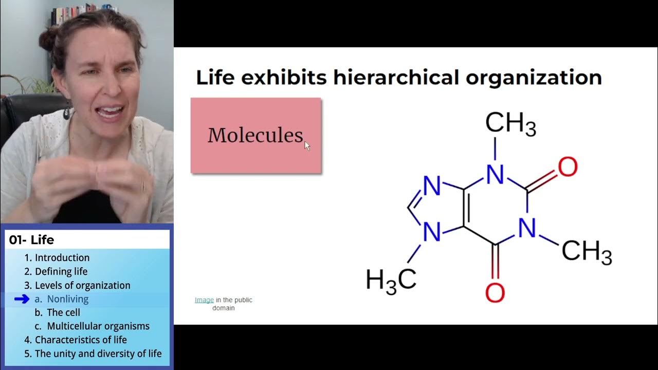 Life 3a- Nonliving levels of organization - YouTube