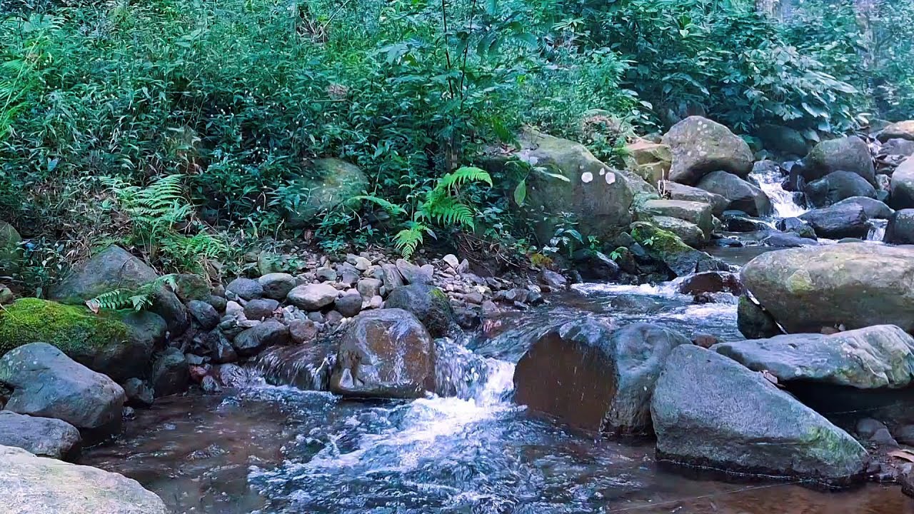 Healing River Flow with Gentle Stream Sounds for Emotional Healing ...