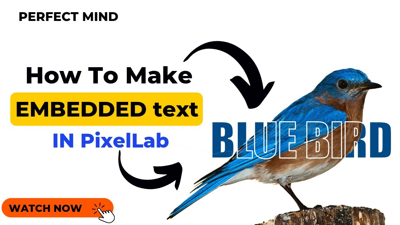 Embedded Text Trick In PixelLab How To Make Embedded Text In PixelLab embedded-text-trick-in-pixellab-how-to-make-embedded-text-in-pixellab