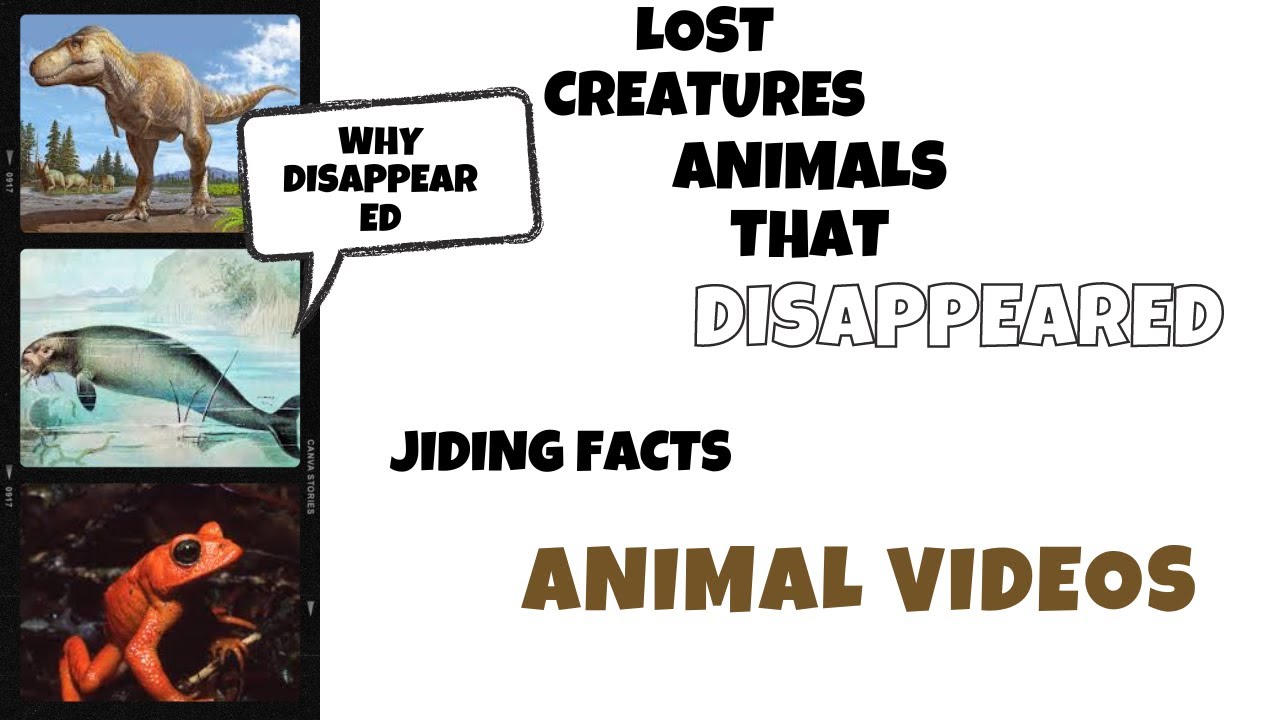 Lost Creatures Animals that Disappeared - YouTube