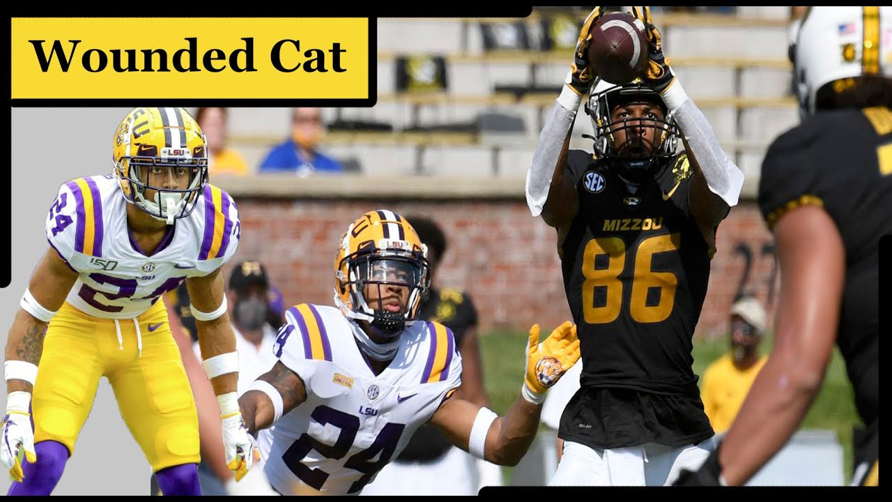 Derek Stingley Jr vs Connor Bazelak, Larry Rountree III, and the ...