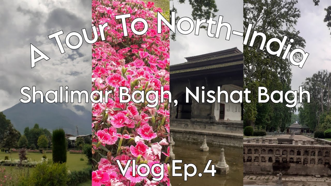 A Tour To North-India! ~Srinagar Gardens~ || Evlove Opinion || #vlog ...