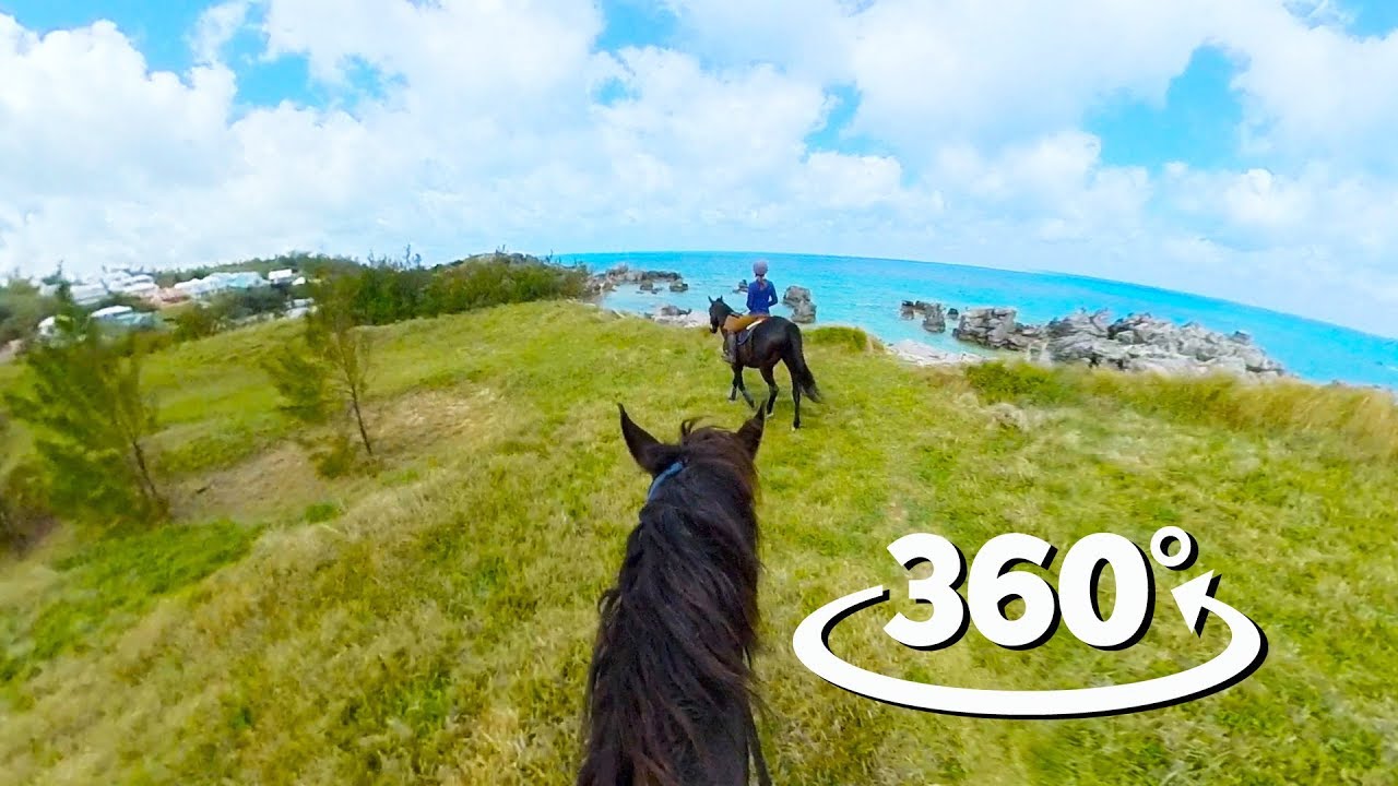Horseback Riding on the Beach in Bermuda - 4K 360 VR Video - YouTube