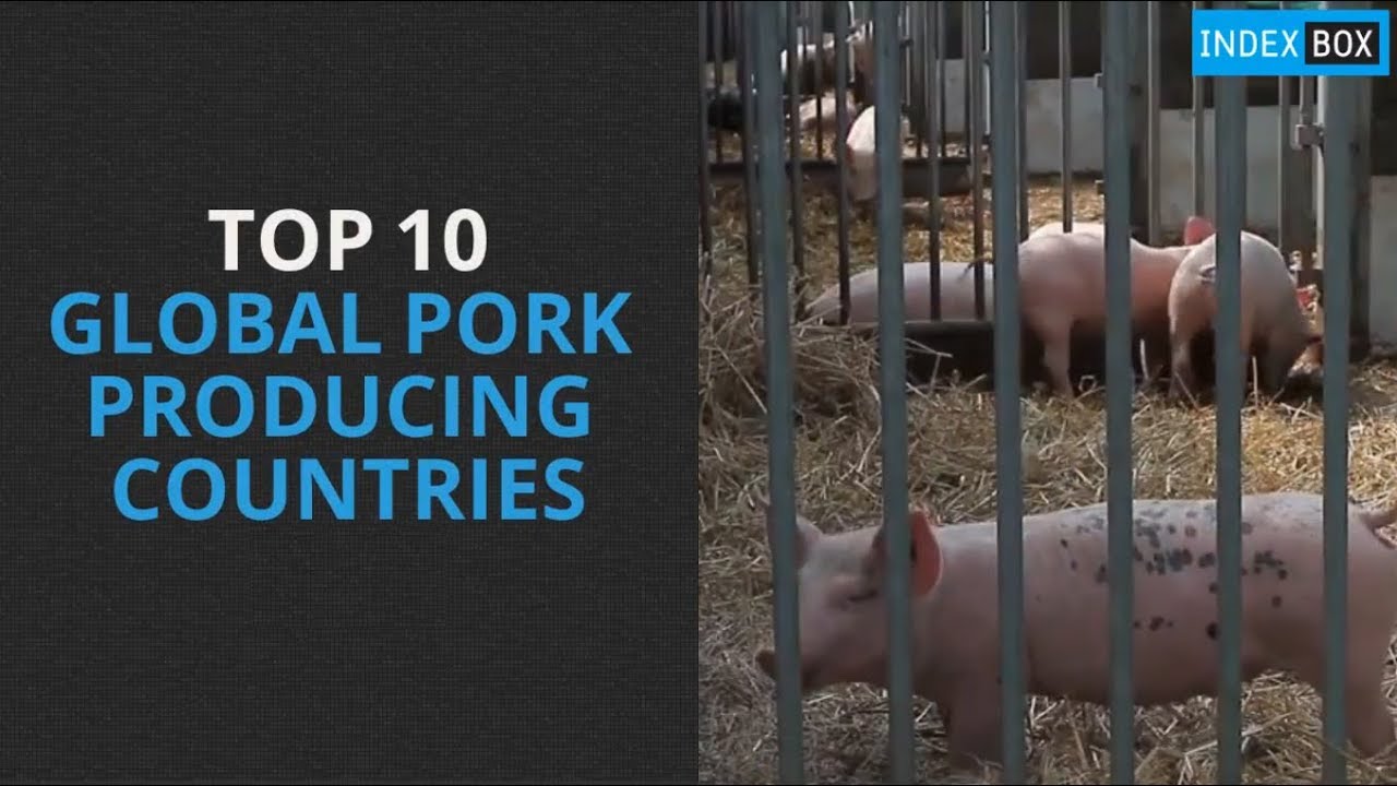 Top 10 Pork Producing Countries - YouTube