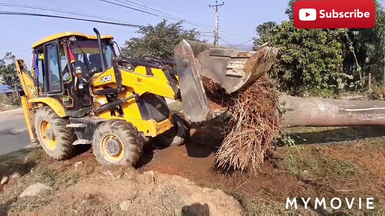 JCB Dojar VS BIG TREE - powerful JCB pushing Down a Big Tree- JCB Video ...