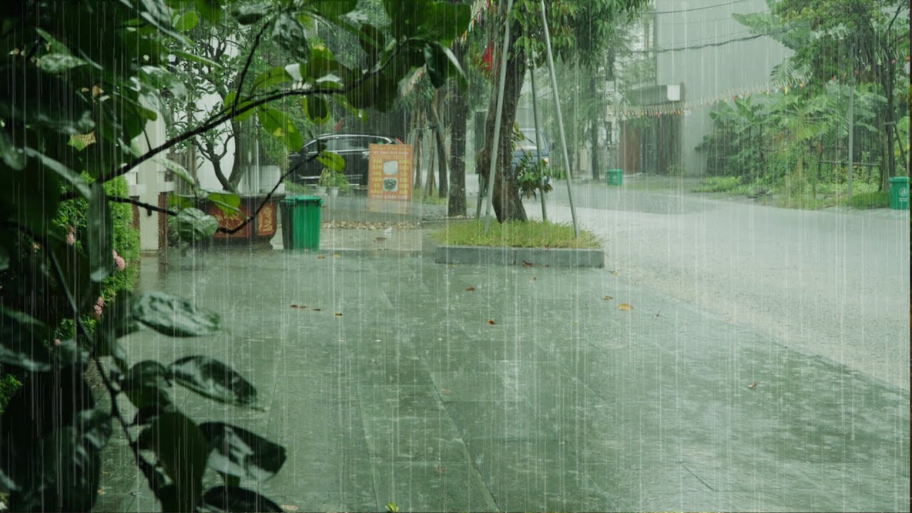 Fall Asleep Instantly with Torrential Rain & Powerful Thunder Sounds on ...