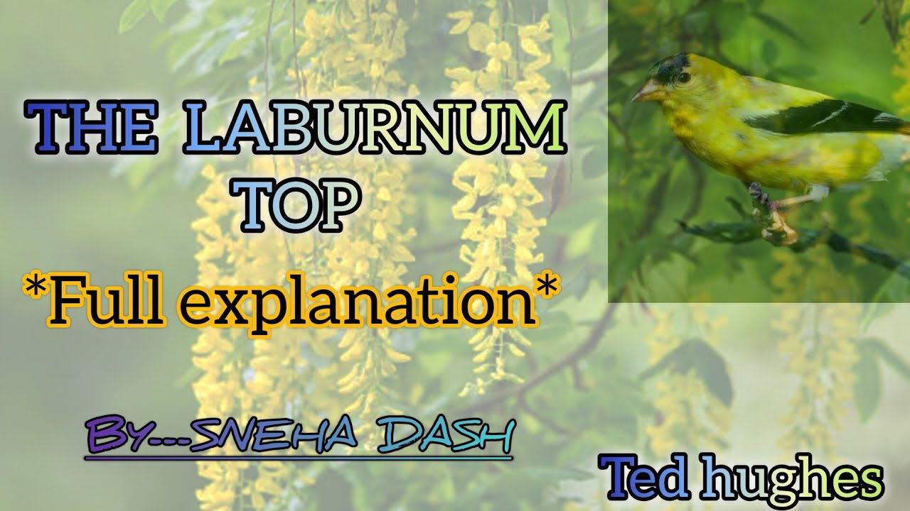 ENGLISH- THE LABURNUM TOP [FULL CHAPTER] 2024-25. Full Explanation ...