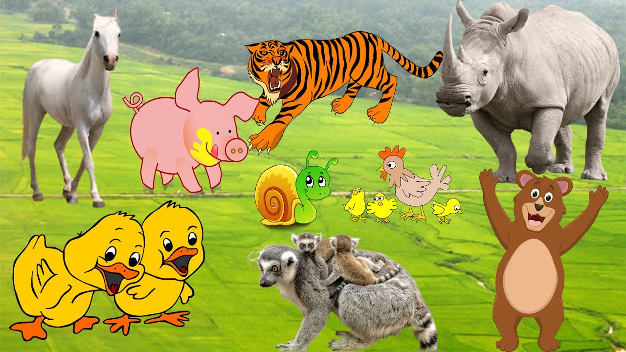 Lives and joys of animals: elephants, cow, horses, goats, sheep, deer ...