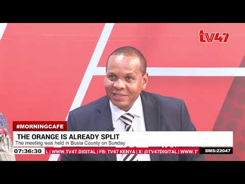 ODM will die a natural death. It is not a movement; it is a rebellion ...