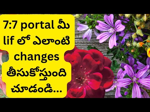 7:7 portal మీ life లో ఎలాంటి changes తీసుకోస్తుంది చూడండి.. Tarot | love | relationship