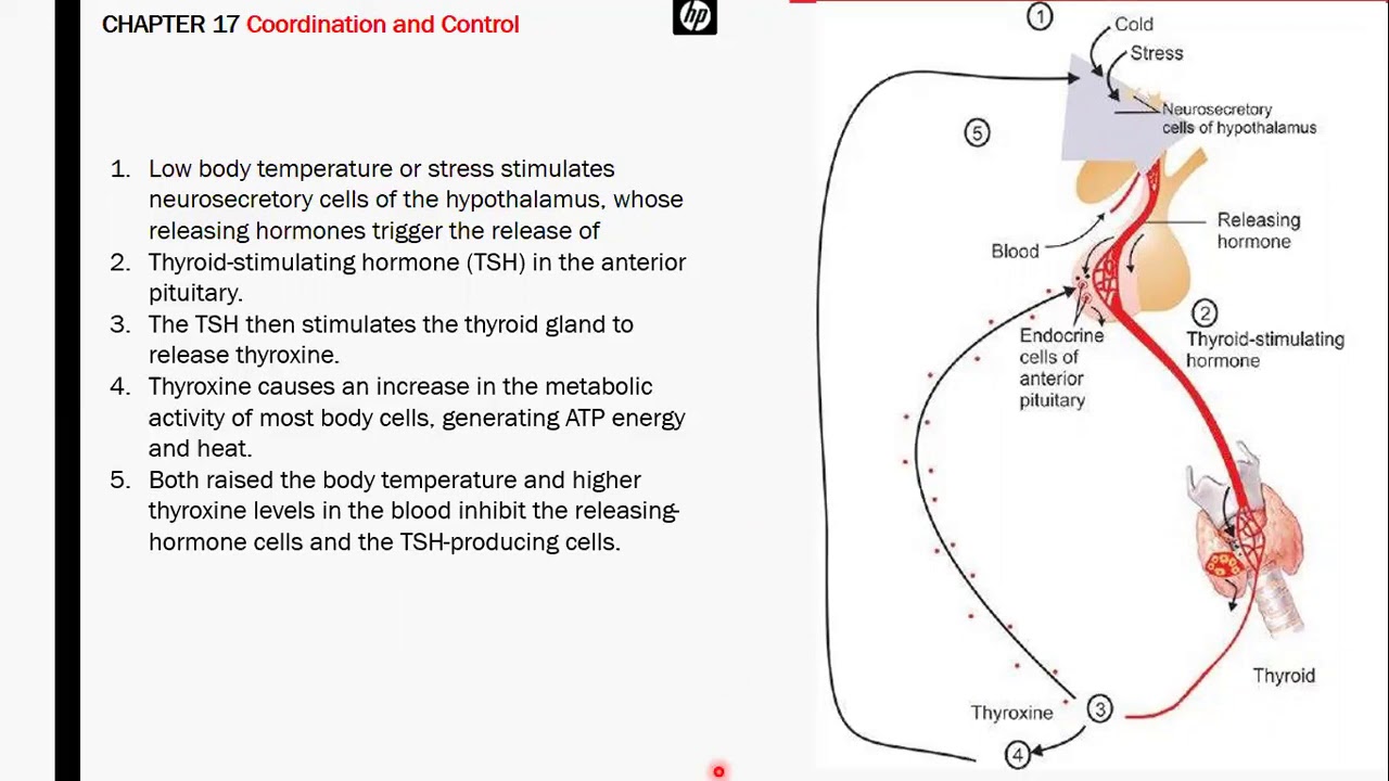 2nd Year Bio Lect 17-08-2020 - YouTube