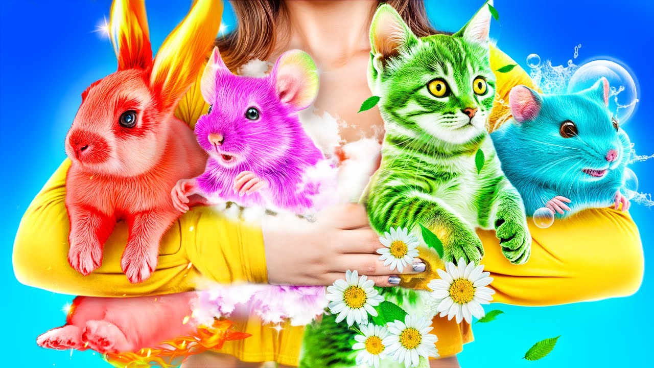 We Build Secret Rooms for 4 Elements Pets! - YouTube