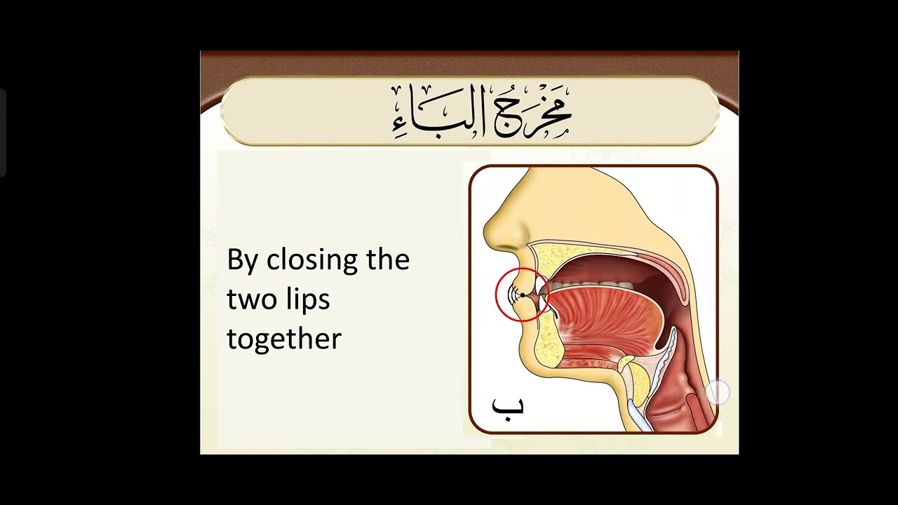 jaweed, the rule of iqlab in Qur'an with an application. - YouTube