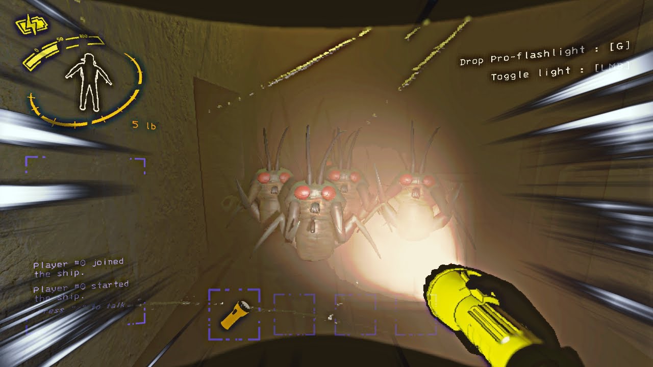 Yippee Bug Parade - YouTube