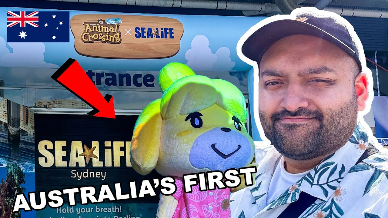 Everything You Need To Know About Australia's Animal Crossing Aquarium ...