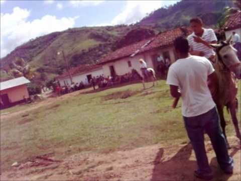 carreras de cintas en pueblo nuevo florida copan parte 2 - YouTube