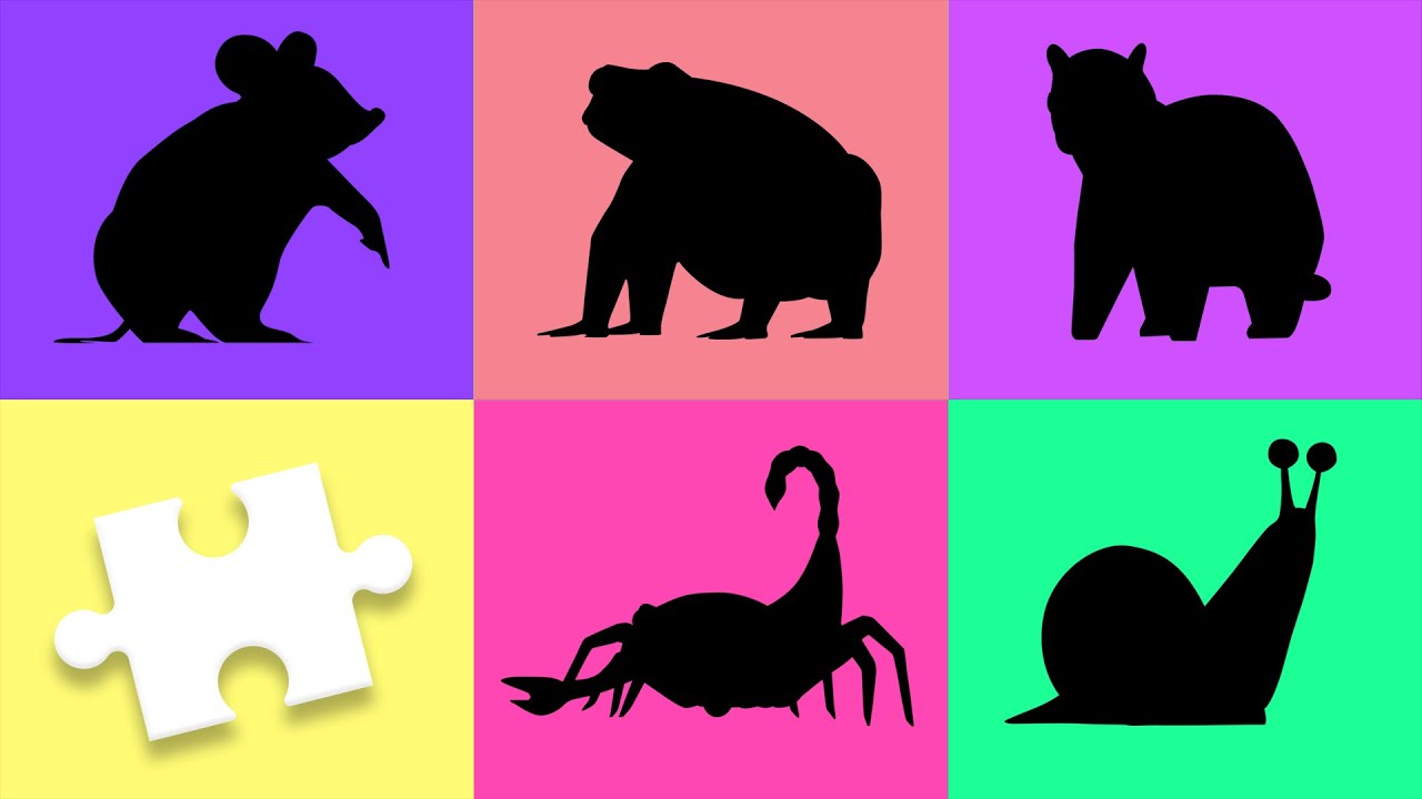 Guess the Animal Quiz | Educational Animal Puzzle for Kids No.9 🧩🧒 ...