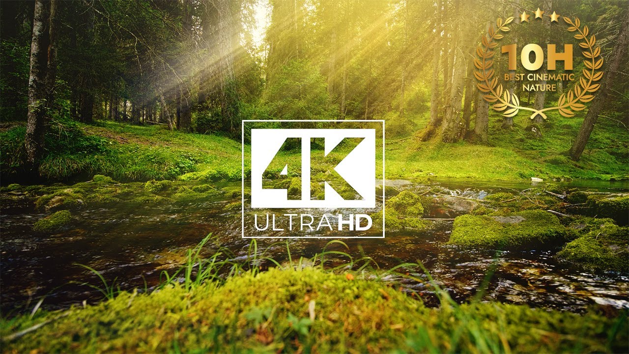 5hrs 4k UHD Tranquil Stream | A Serene Journey Through a Lush Green ...