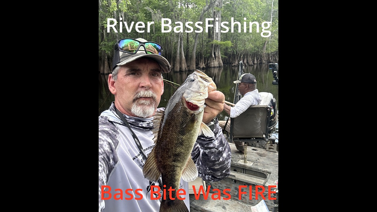 "Epic Bass Fishing in the River Swamp! 🔥 Unbelievable Bite!" - YouTube