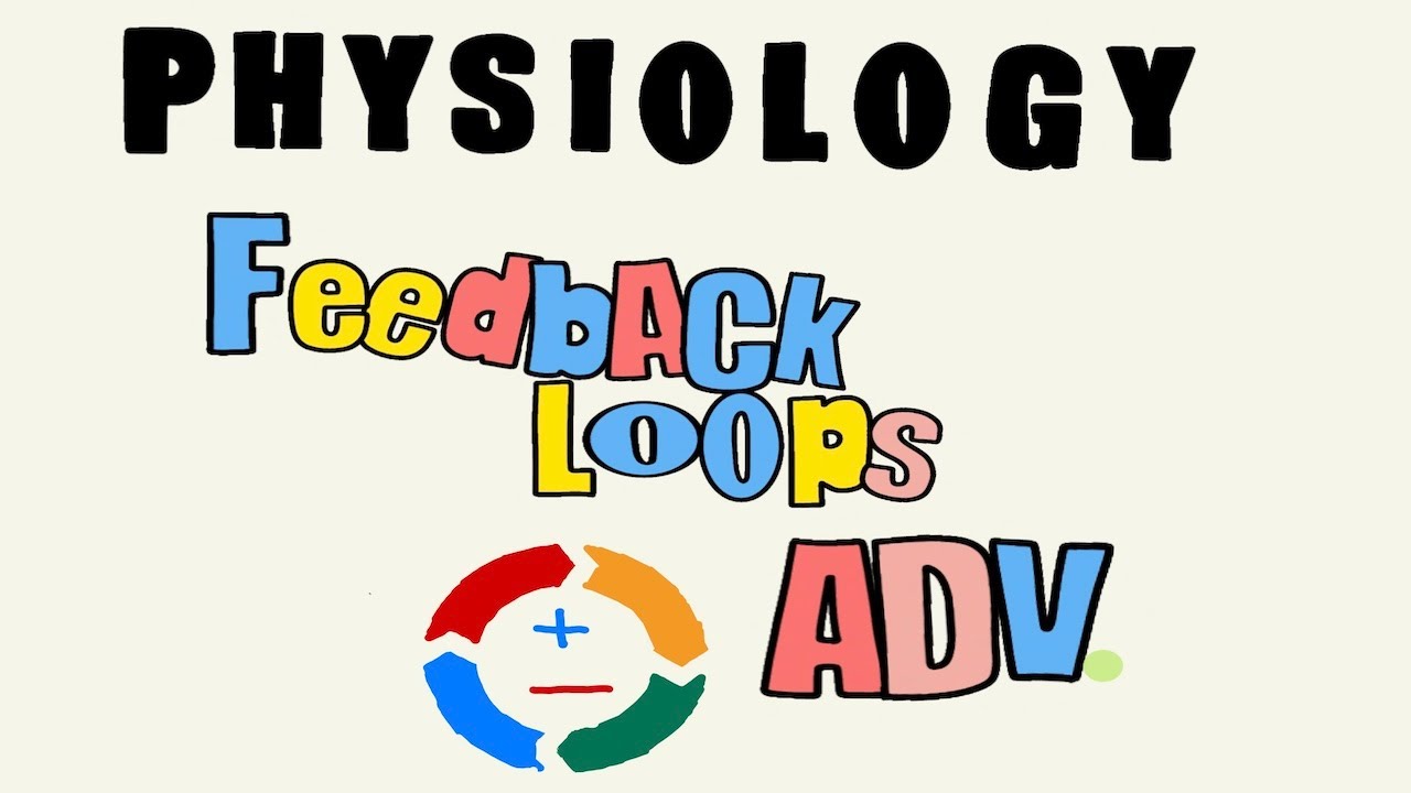 Physiology Ch 1 Feedback Loops (Advanced) Test Questions - YouTube