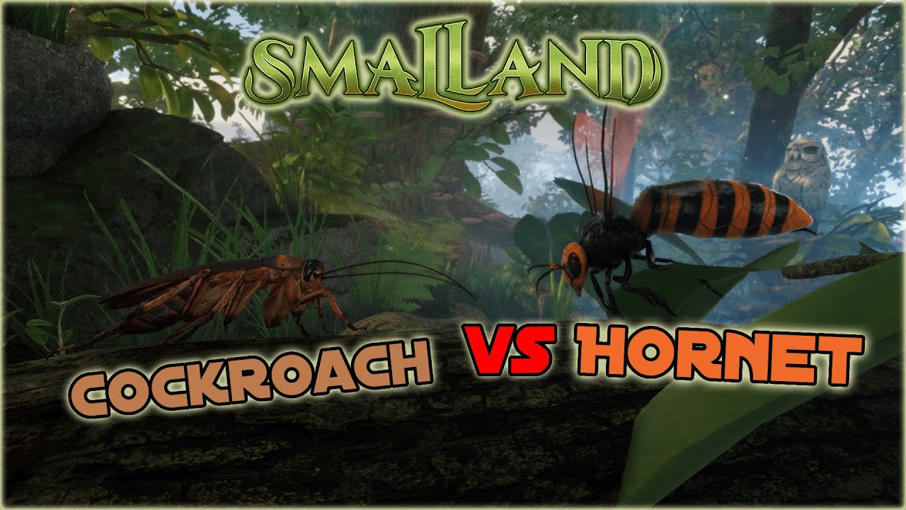 Smalland: Cockroach VS Hornet! - YouTube
