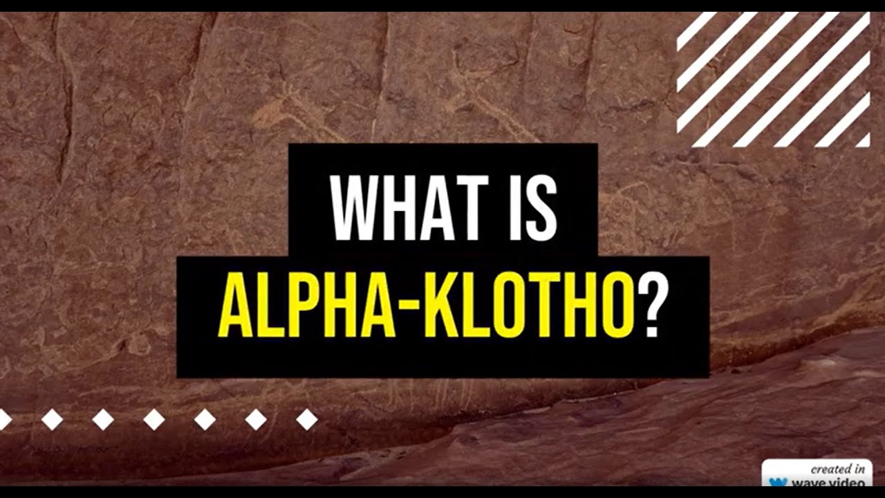 What is Alpha Klotho in blood test? What does it mean? - YouTube