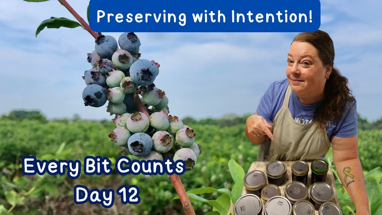Preserving with Intention| Every Bit Counts Day 12 #everybitcounts # ...