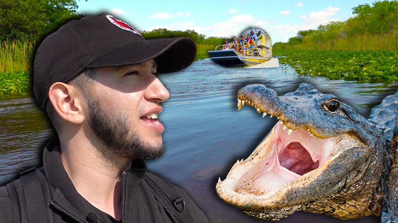 My Everglades Holiday Park Experience | Everglades Holiday Park Airboat ...