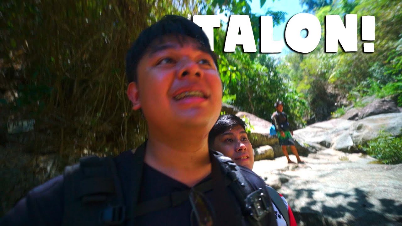 TALON! | Arkin Animation - YouTube