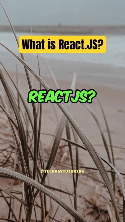 What Is React Js Reactjs React Shorts Coding Trending Youtubeshorts Programming