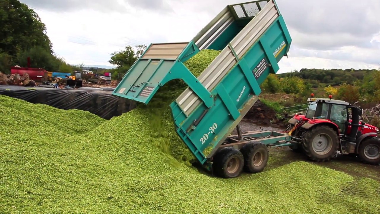 Maize Silaging - Full Process, Rookery Farms, West Berkshire - YouTube