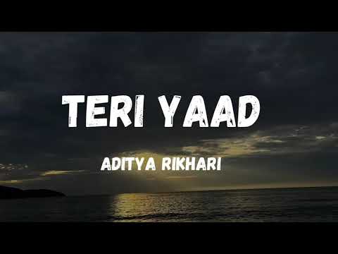 TERI YAAD ||  ADITYA RIKHARI  ||  THE NOISE MAKER  || LYRICS