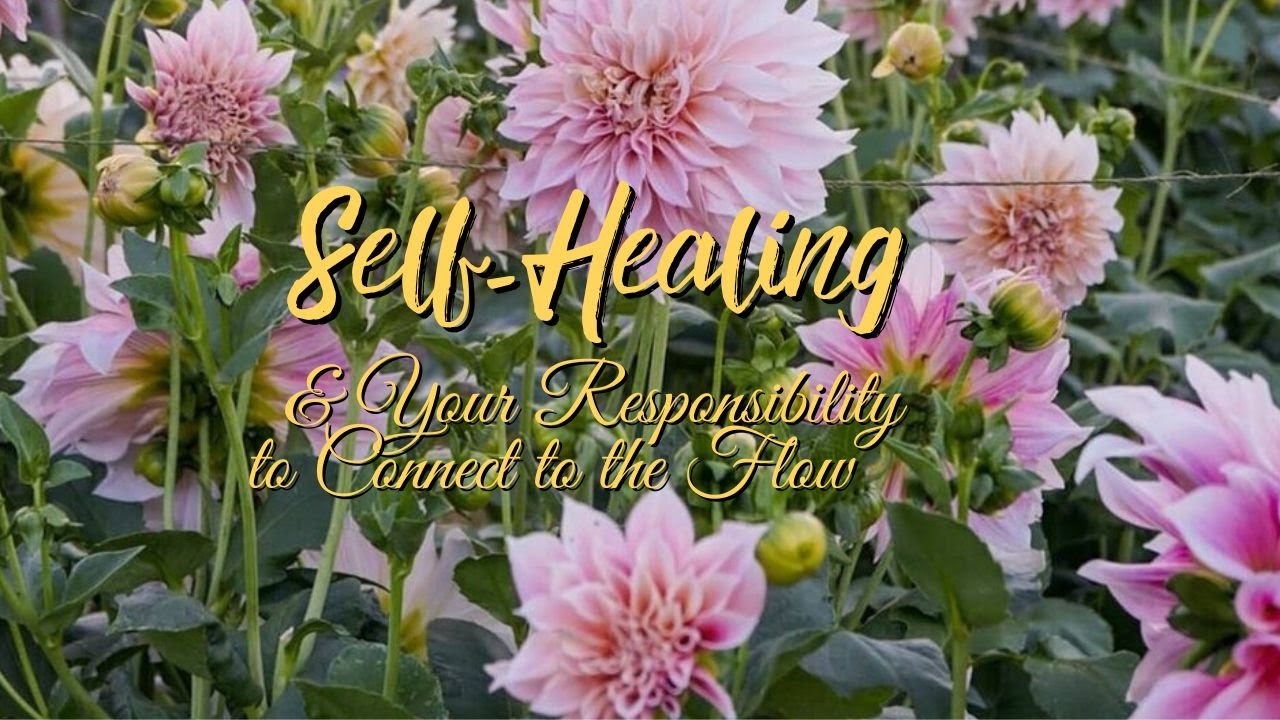 15 Minute Magic Mindset: Self Healing & Your Responsibility - YouTube