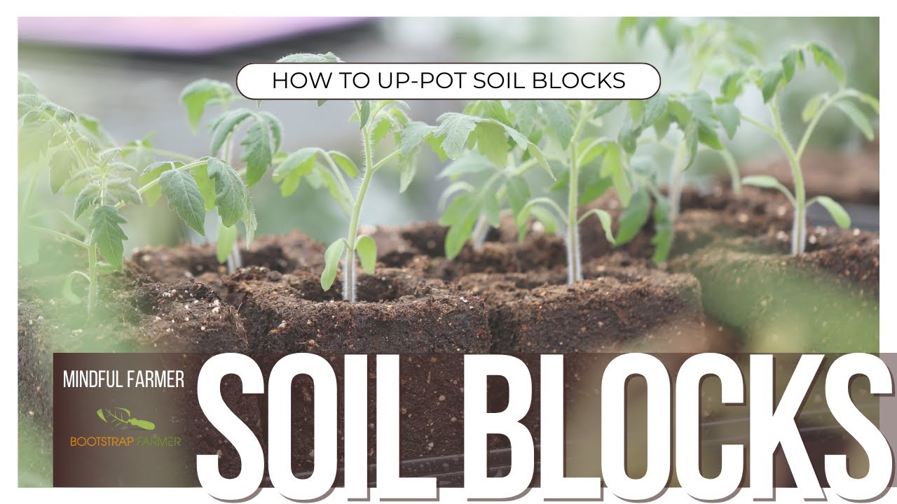 How to Up Pot Soil Blocks - YouTube