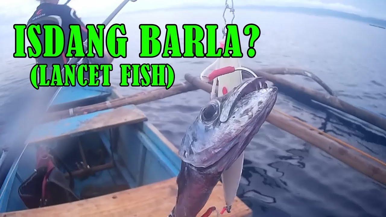 Tahong Ni Barla ( Lancet Fish ) - YouTube