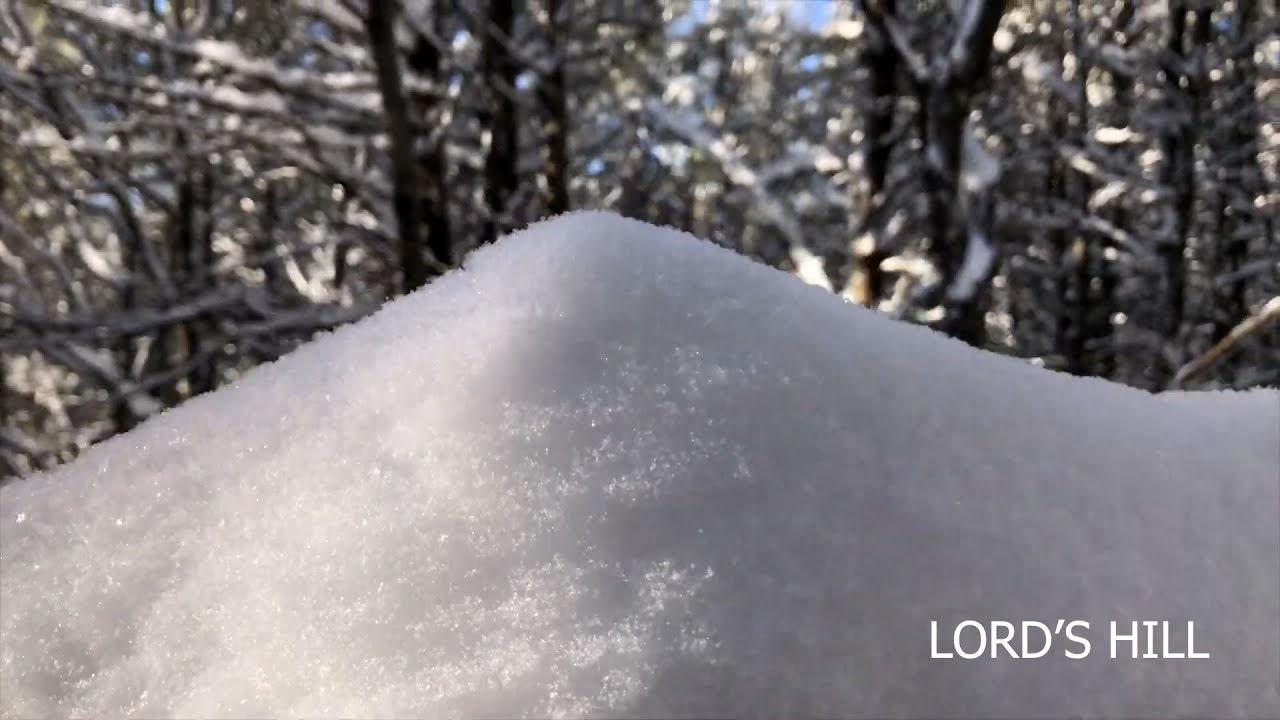 Lord's Hill - Colter Lingelbach-Pierce - YouTube