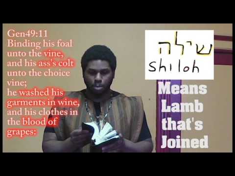 Shiloh in the Bible - YouTube