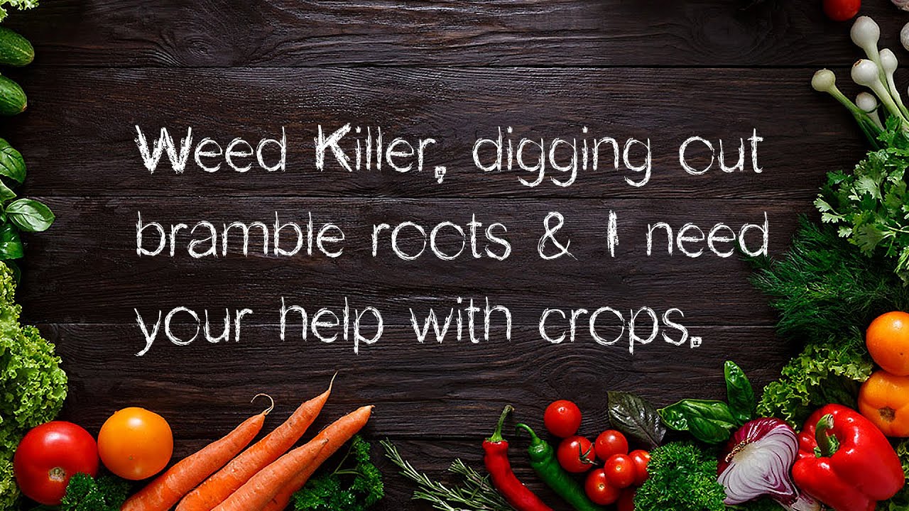 #7 Digging bramble roots and I need your help - YouTube