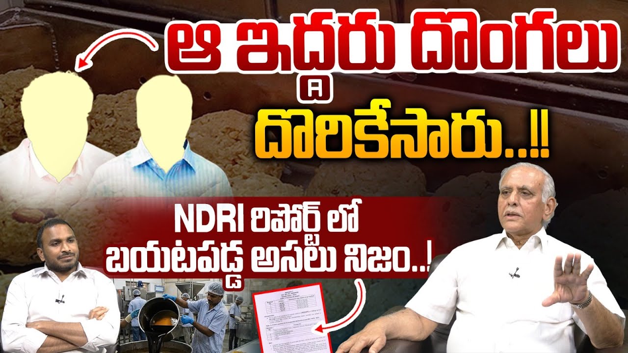 Lingamaneni Sivarama Prasad About NDDB Report On TTD Ghee : NDRI ...