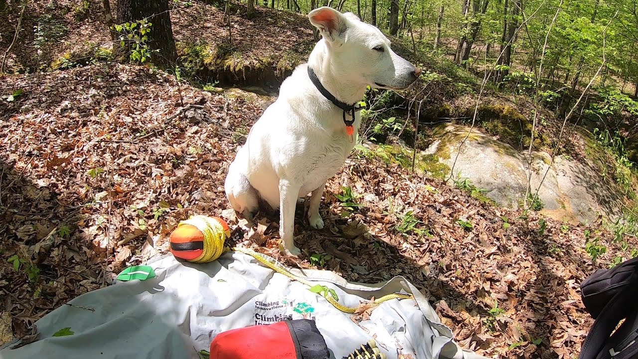 Setting a Climbing Line with Removable Retrieval Line - YouTube