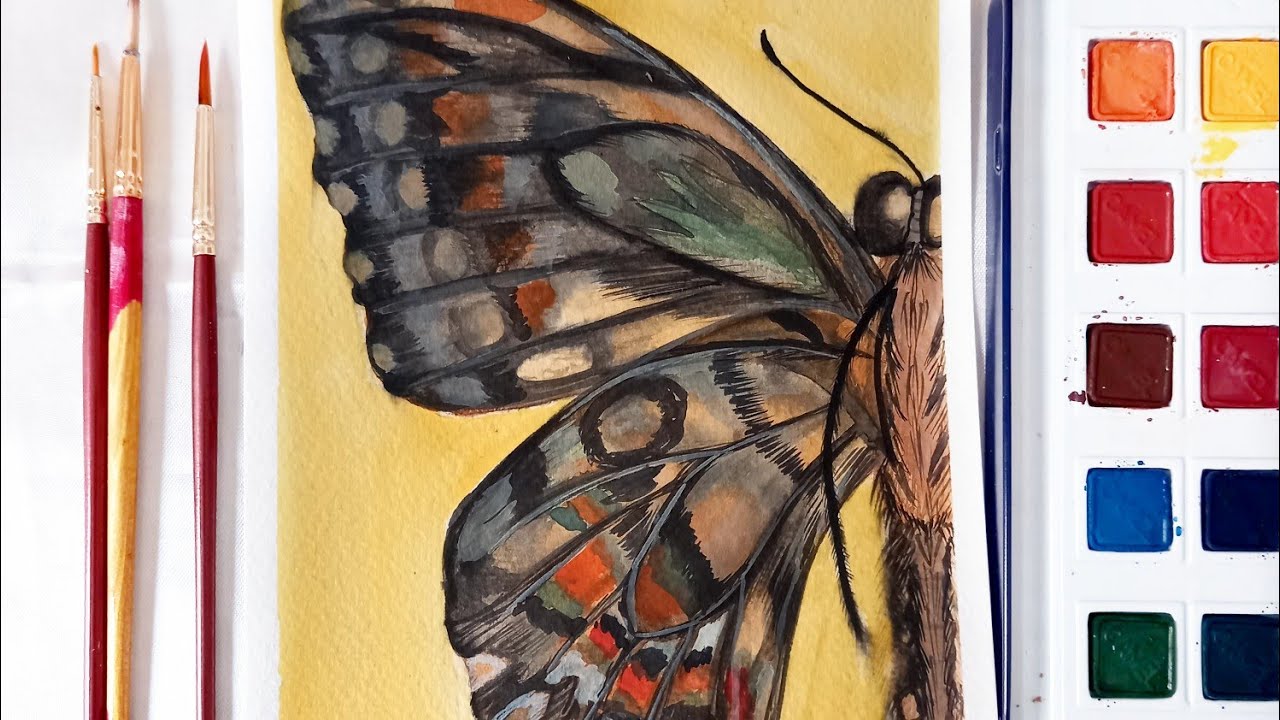 Easy Watercolour moth painting.......#art #painting #timelapse #nature ...