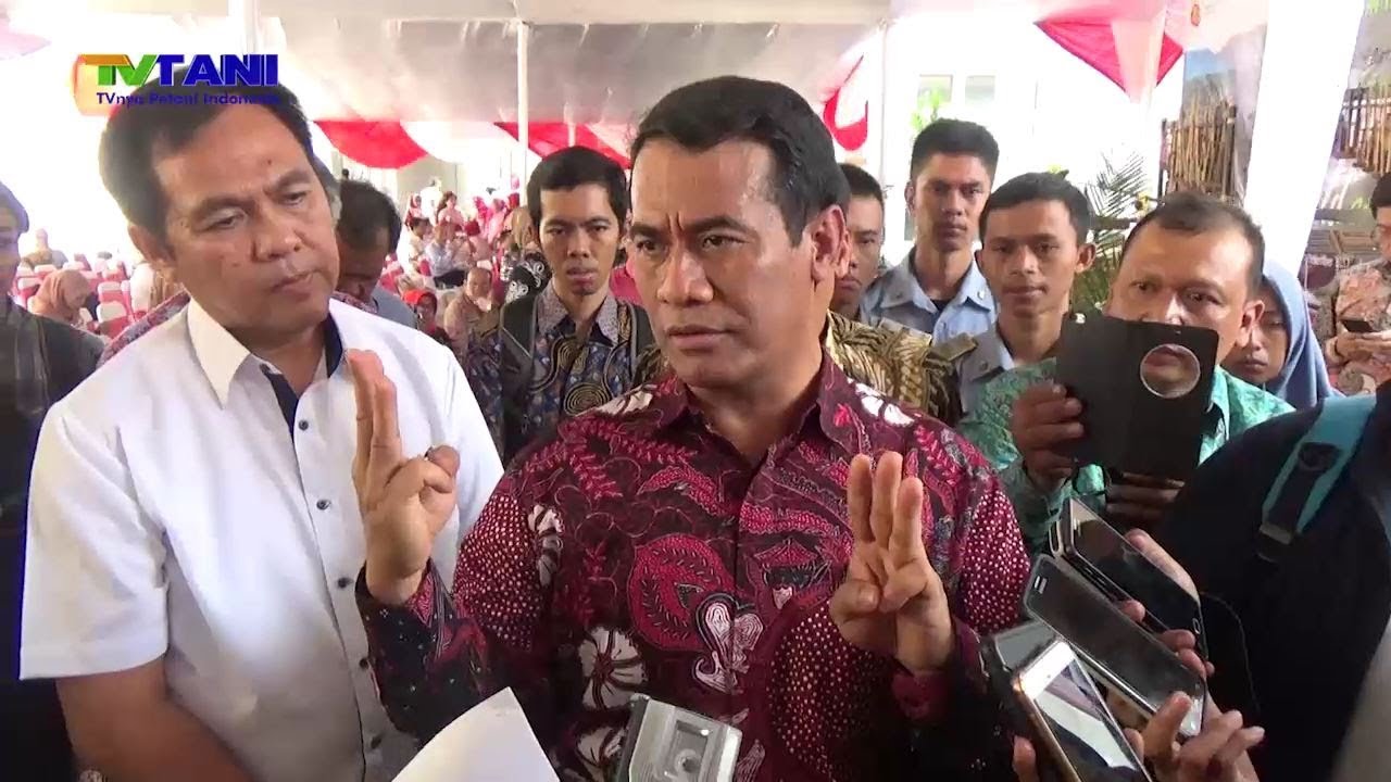 Soft Launching Museum Tanah Indonesia - YouTube