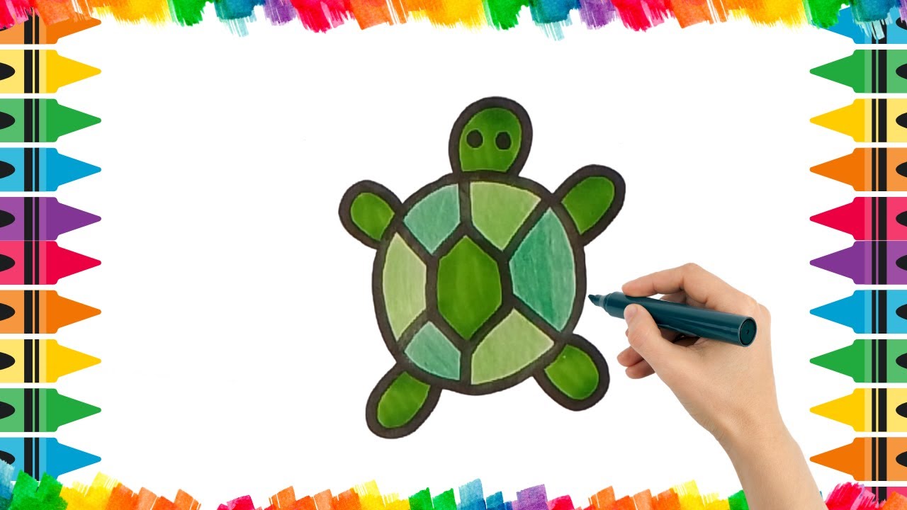 How To Draw Cute Tortoise Drawing, Painting & Coloring For Kids and ...
