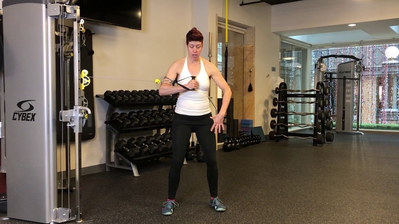 Standing Anti Rotation Press out Hold | Reimagym.com - YouTube