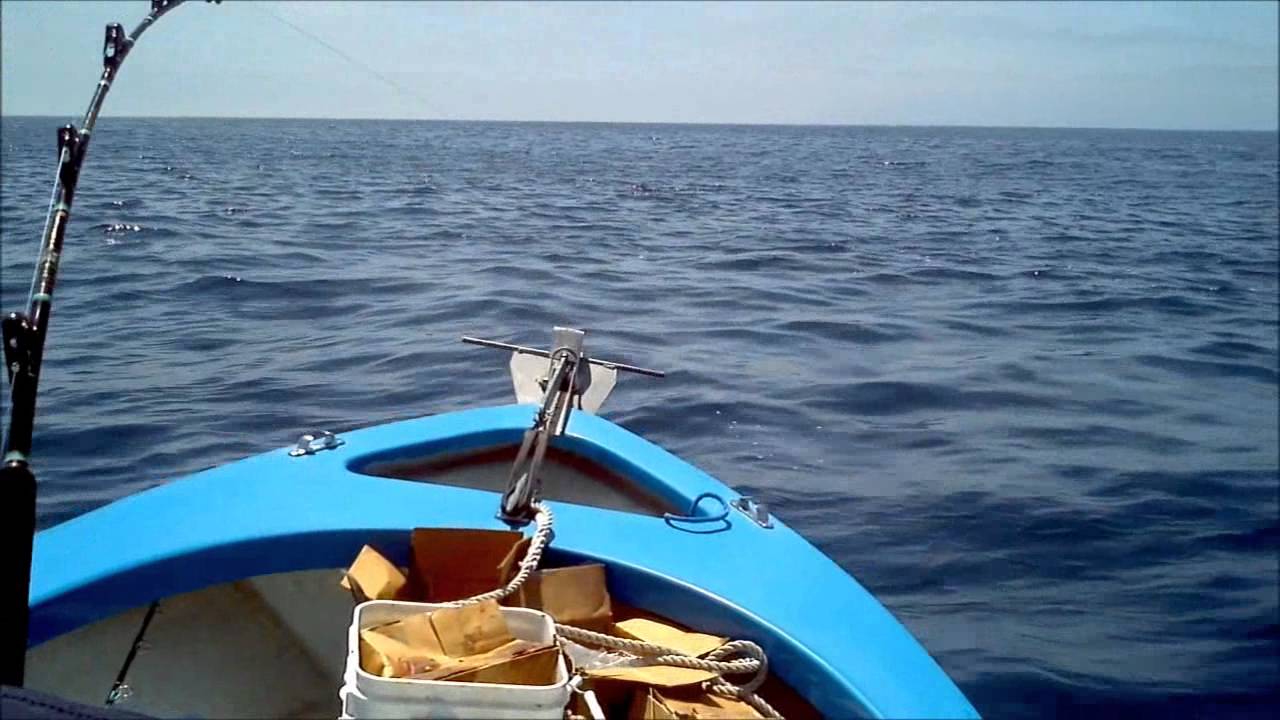 Mako Shark Fishing - YouTube