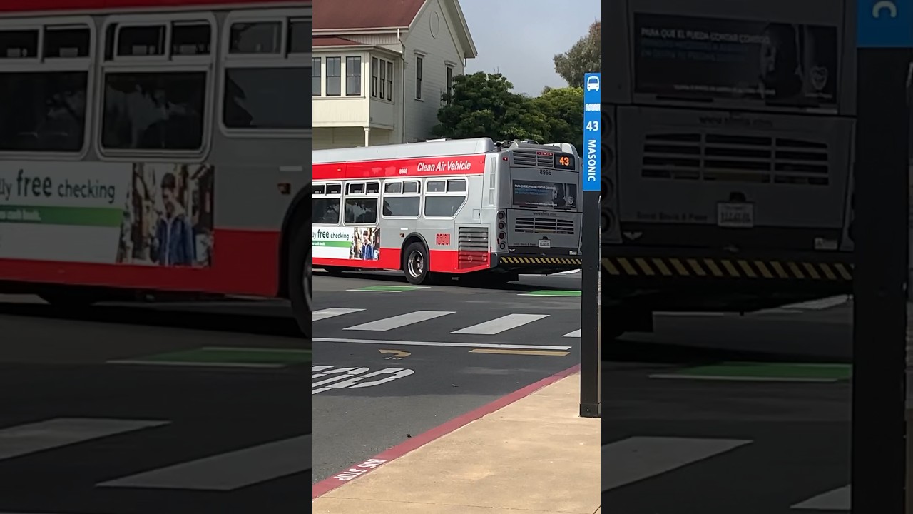 SF MUNI 2018 NFI XDE40 #8966 on route 43 Masonic- IB to the Marina ...