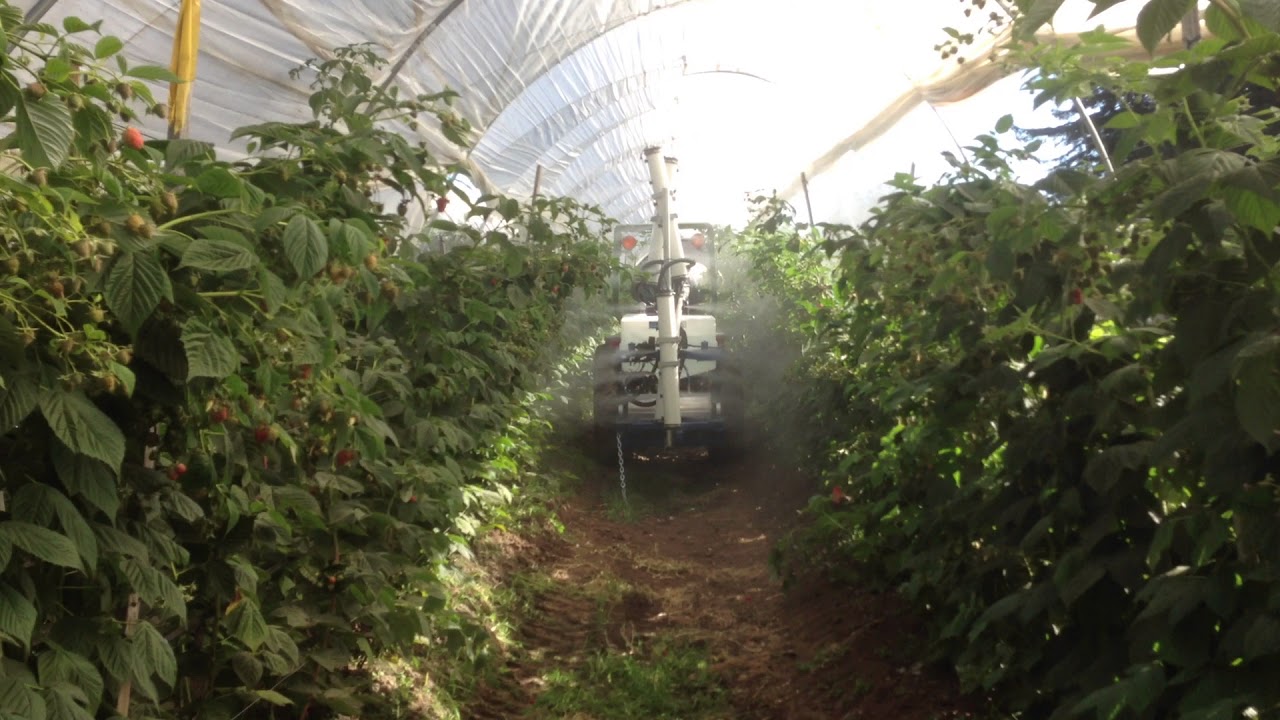 Narrow Raspberry sprayer with Electrostatic On Target Spray System ...