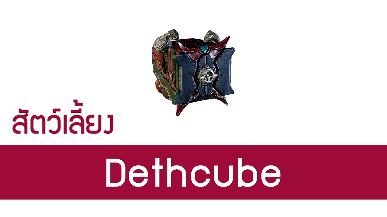 สัตว์เลี้ยง Dethcube - Warframe - YouTube