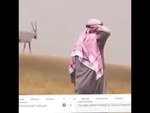 lgi virAl lagu  sayu