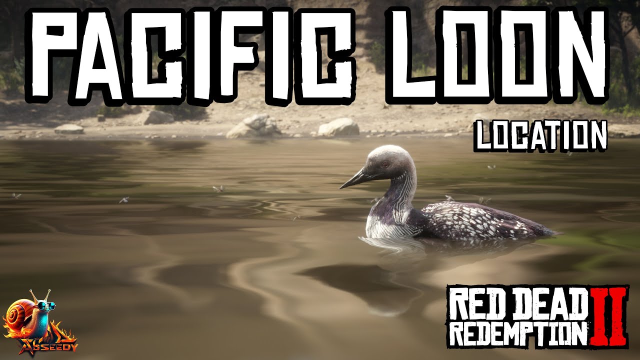 Pacific Loon Location - Red Dead Redemption 2 - YouTube